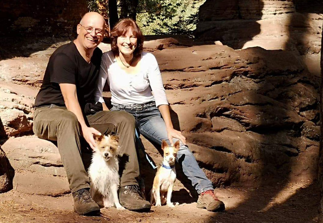 More Adoptions Please – Pico Dogs